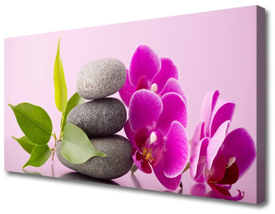 Obraz na plátně Orchidej Vstavač Kameny 100x50cm
