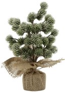 Zelený ojíněný vánoční cedrový stromek v jutě Fleur Cedar Tree - 30 cm