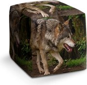Sablio Taburet Cube Vlk - 50x50x50 cm