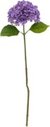 Umělá květina (výška 73,5 cm) Hydrangea – Bloomingville