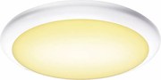 LA 1005089 RUBA 27 CW venkovní LED nástěnné a stropní přisazené svítidlo bílé CCT switch 3000/4000 K - BIG WHITE (SLV)