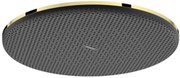 Hansgrohe Raindance Alive S - Hlavová sprcha, průměr 30 cm, EcoSmart+, leštěný vzhled zlata 24523990
