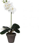 Mica Decorations Umělá orchidej bíla 48 cm