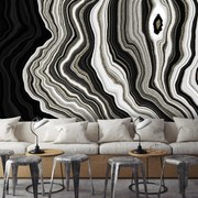 Fototapeta - Černý mramor (245x170 cm)