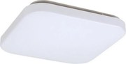 Rabalux 3340 - LED Stropní svítidlo ROB LED/20W/230V
