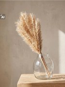Sinsay - Dekorativní umělá rostlina 3 pack - oranžová