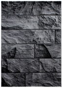 Ayyildiz, Kusový koberec Parma 9250 black, 80x150, šedá, chodba / předsíň