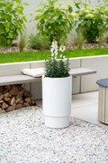 Květináč ESCADA, sklolaminát, výška 60 cm, bílý