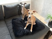 Měkký polštář pro psa/kočku ROYAL PET 75x60 cm, černý