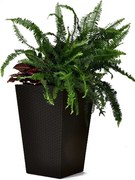 KETER - květináč Rattan Planter M, hnědý