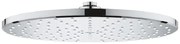 Grohe Rainshower - Hlavová sprcha 310 Mono, 1 proud, chrom 26561000