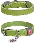 Obojek kůže 12mmx19-25cm WAUDOG zelený