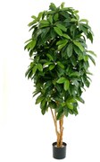 Schefflera umělá V 170 cm