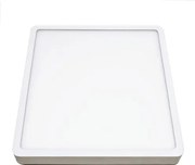 Stropní LED svítidlo Kohl Lighting DISC SLIM SQ 145x145mm bílé 12W 3000K