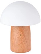 Stmívatelná stolní lampa v přírodní barvě se skleněným stínidlem (výška 32 cm) Alice – Gingko