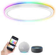 Smart LED svítidlo IMMAX NEO 07164-40 Tudo RGB 50W WiFi Tuya
