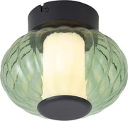 Designové stropní svítidlo černé 18cm se zeleným sklem vč. 3-stupňové stmívatelné LED - Margherite