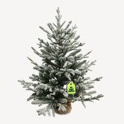 Smrk Zasněžený 70 LED 90 cm