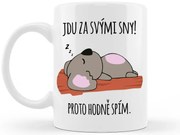 Ahome Ahome CZ Hrneček Jdu za svými sny 330 ml