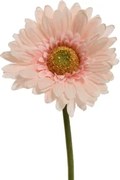 Umělá květina Gerbera 50 cm, broskvová