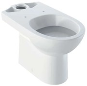Geberit Selnova - WC kombi mísa, zadní odpad, bílá 500.287.01.7
