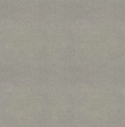 Lentex, PVC podlaha - lino Flexar PUR 542-01 sv. šedá, na míru, šíře 2m,4m, šedá, bez podkladu, kancelář