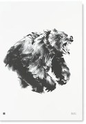 Teemu Järvi Plakát s motivem medvěda Roaring bear 50x70