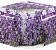 Vonná svíčka ve skle Lavender 100 g, 7,2 cm