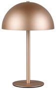 LED stolní lampa v bronzové barvě s kovovým stínidlem (výška 21 cm) Munoz – Reality