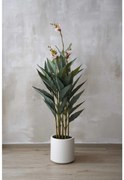 Umělá rostlina dosna CANNA v bílém květináči, plast, výška 160 cm, růžová