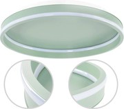 Toolight Toolight, LED stropní svítidlo 40cm, 4000 lm, 22W, 4000K, APP1463, zelená, OSW-08641