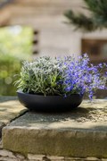 Okrasná miska PLANA, sklolaminát, 9xØ34 cm, antracit