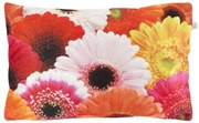 Dekorační povlak na polštář SAMARA GERBERA 30x50 cm, barevný