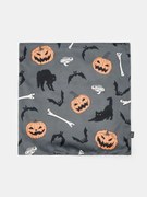 Sinsay - Povlak na polštář s halloweenským motivem - šedá