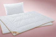 Ložnice21. Antibakteriální celoroční set Rozměr: celoroční set Economy: 70x90 cm bez zipu (1000 g) + 135x200 cm (300 g/m²)