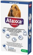 Ataxxa pro psy XL 1x2000mg/400mg tmavě modrá sol 1 x 4.0 ml(nad 25kg)