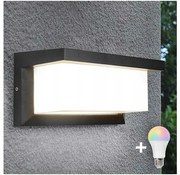 LED RGBW Stm. venkovní nástěnné svítidlo NEELY 1xE27/9W/230V IP54 antracit