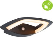 P 94839 LED venkovní nástěnné svítidlo Akena pohybové čidlo neláká hmyz IP44 243x254mm 2200K 10,8W 230V antracit hliník - PAULMANN