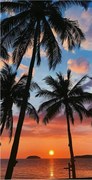 PLÁŽOVÁ OSUŠKA Z MIKROVLÁKNÁ TROPICAL2 100X180 CM VZOROVANÁ
