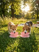 Sinsay - Skládací miska pro zvířata - pastelová růžová