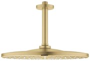 Grohe Rainshower Mono - Hlavová sprcha, průměr 31 cm, kartáčovaný Cool Sunrise 26560GN0