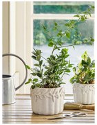 Kameninový květináč Cetara Rustic White 15 cm Garden Trading