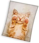 Carbotex Deka z mikrovlákna 130x170 Kitten béžová 4067 C23