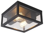 Průmyslové stropní svítidlo černé IP44 2-světelné - Charlois