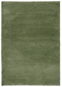 Zelený koberec 120x170 cm – Flair Rugs