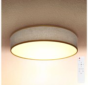Brilagi - LED Stmívatelné stropní svítidlo CARMEN LED/48W/230V 3000-6500K + DO