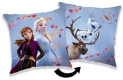 Jerry Fabrics Polštářek Frozen 2 Wind 02 40x40 cm
