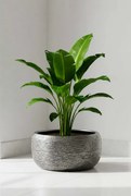 Kulatý květináč POTTA, sklolaminát, průměr 55 x výška 26 cm, stříbrná
