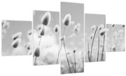 Obraz - Boho bunny tail grass (125x70 cm)