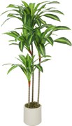 HOMCOM umělá Dracaena s nastavitelnými větvemi, bílý PP květináč s cementovou zátěží – listy PEVA, dřevěný kmen, 60 × 40 × 120 cm | Aosom